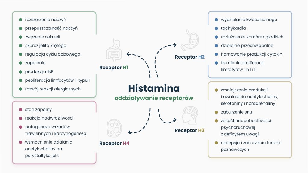 Nietolerancja histaminy - wszystko, co warto o niej wiedzieć - Instytut ...