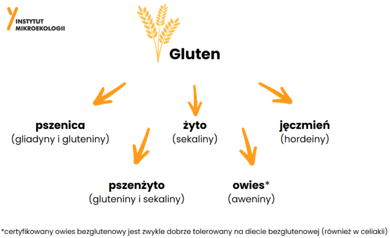 Gluten - czym jest, komu szkodzi i gdzie występuje? - Instytut ...